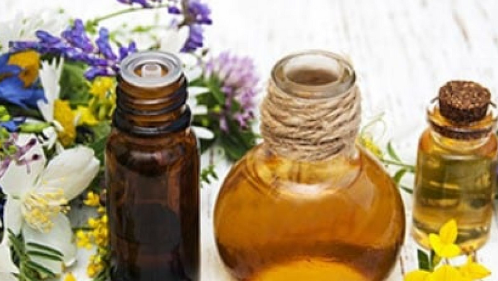 Aromatherapy 101: Understanding the Basics of Essential Oil Therapy ...